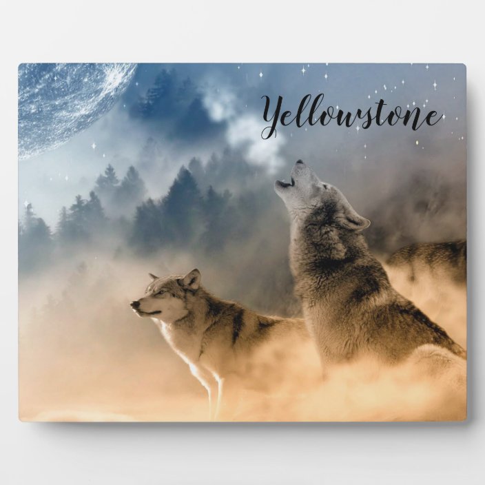 Photo Plaque-Yellowstone Wolves Plaque | Zazzle.com