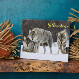 Photo Plaque-Yellowstone Wolves Plaque | Zazzle