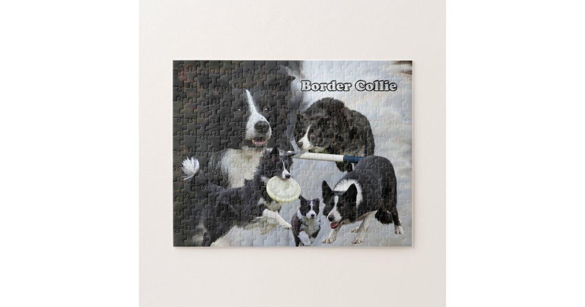 photo puzzle border collie collage | Zazzle