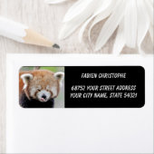 Photo red panda , animals 0532. label | Zazzle