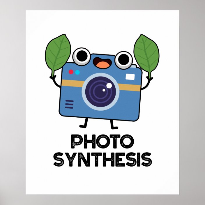 Photo Synthesis Funny Camera Pun Poster | Zazzle.com