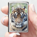 Photo tiger , animals 0367. zippo lighter | Zazzle