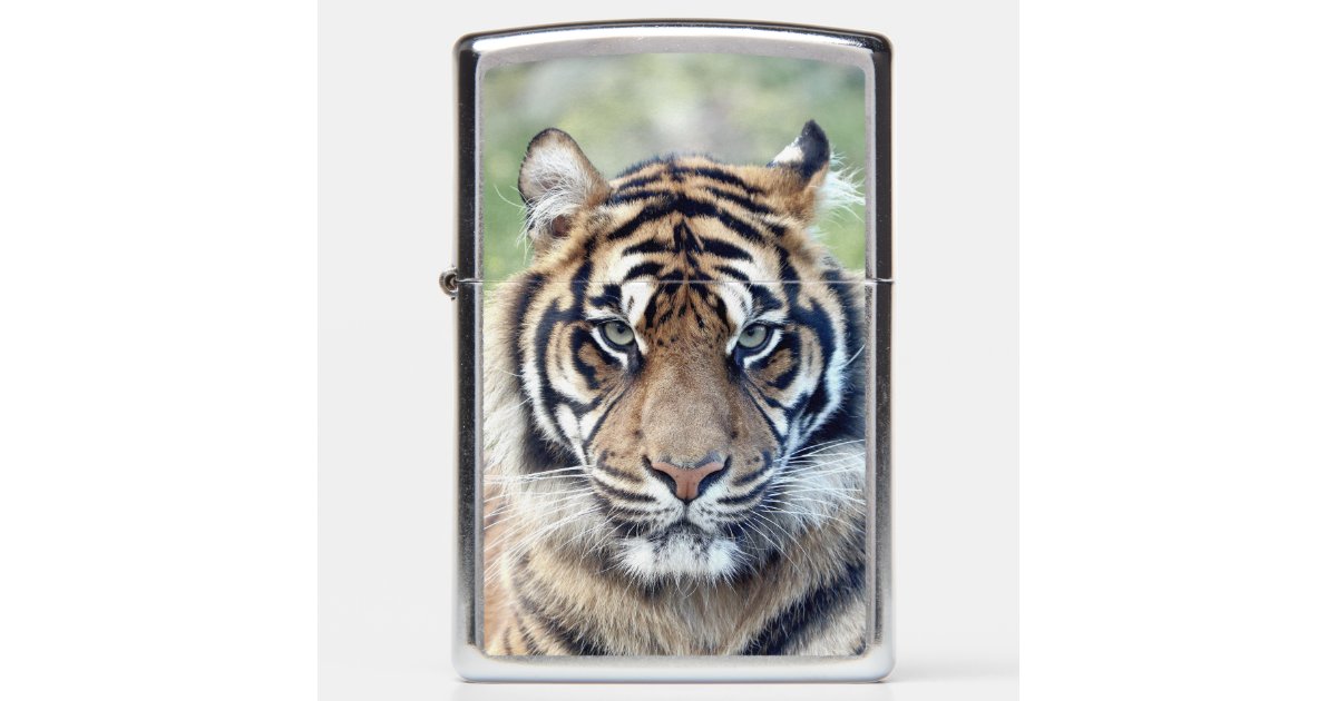 Photo tiger , animals 0367. zippo lighter | Zazzle