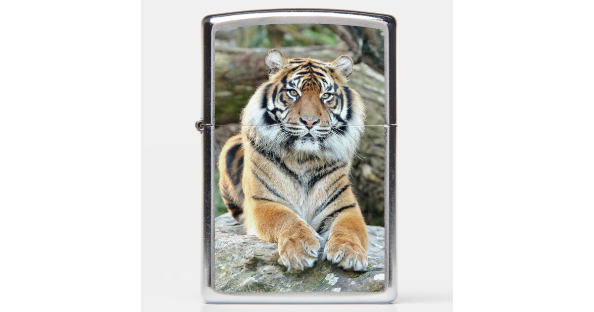 Photo tiger , animals 0368. zippo lighter | Zazzle