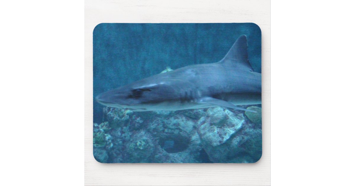 Photograph of a Shark Mouse Pad | Zazzle