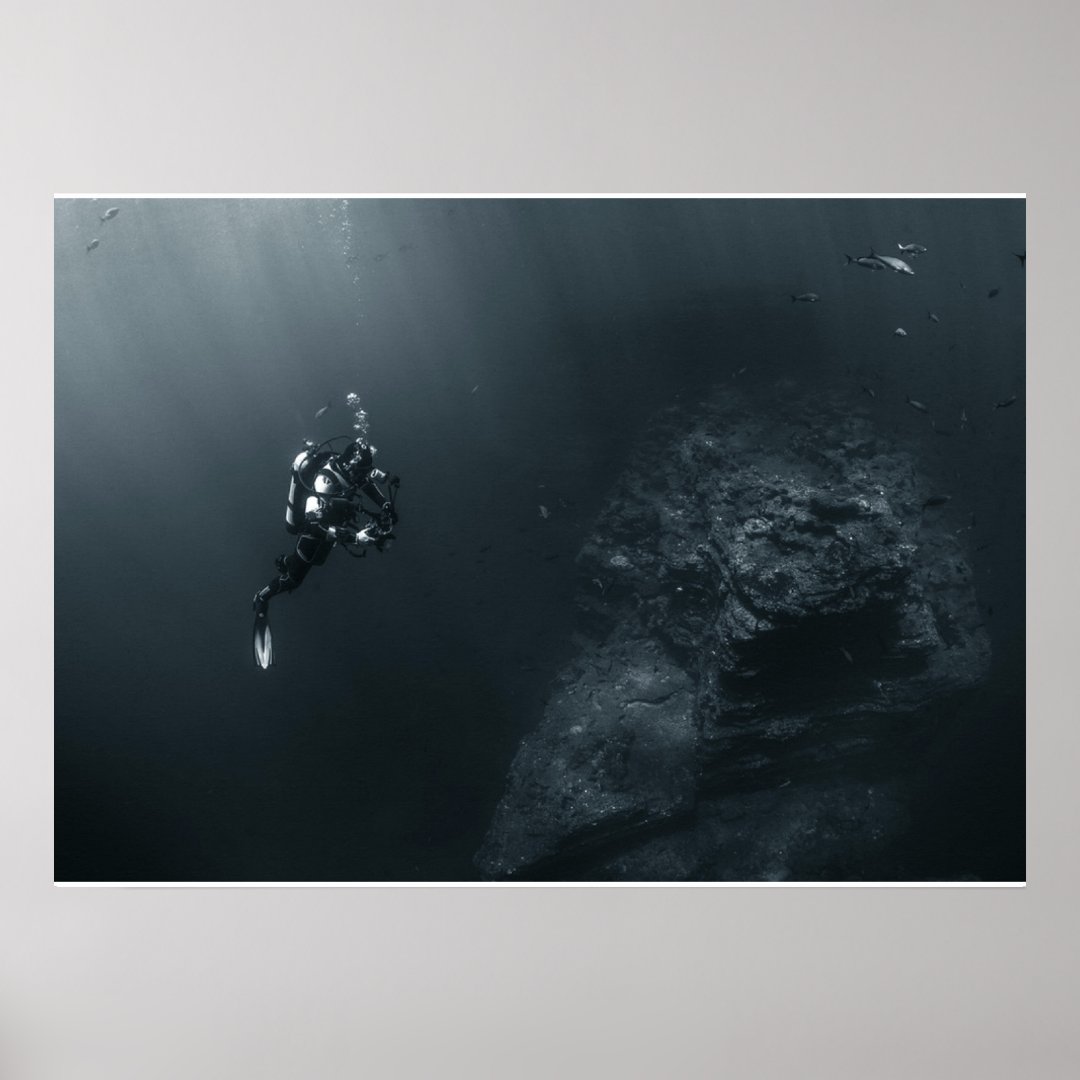 Photographer Diver Poster | Zazzle