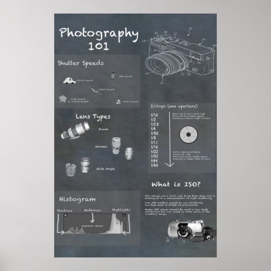 Photography Infographic Poster | Zazzle.com