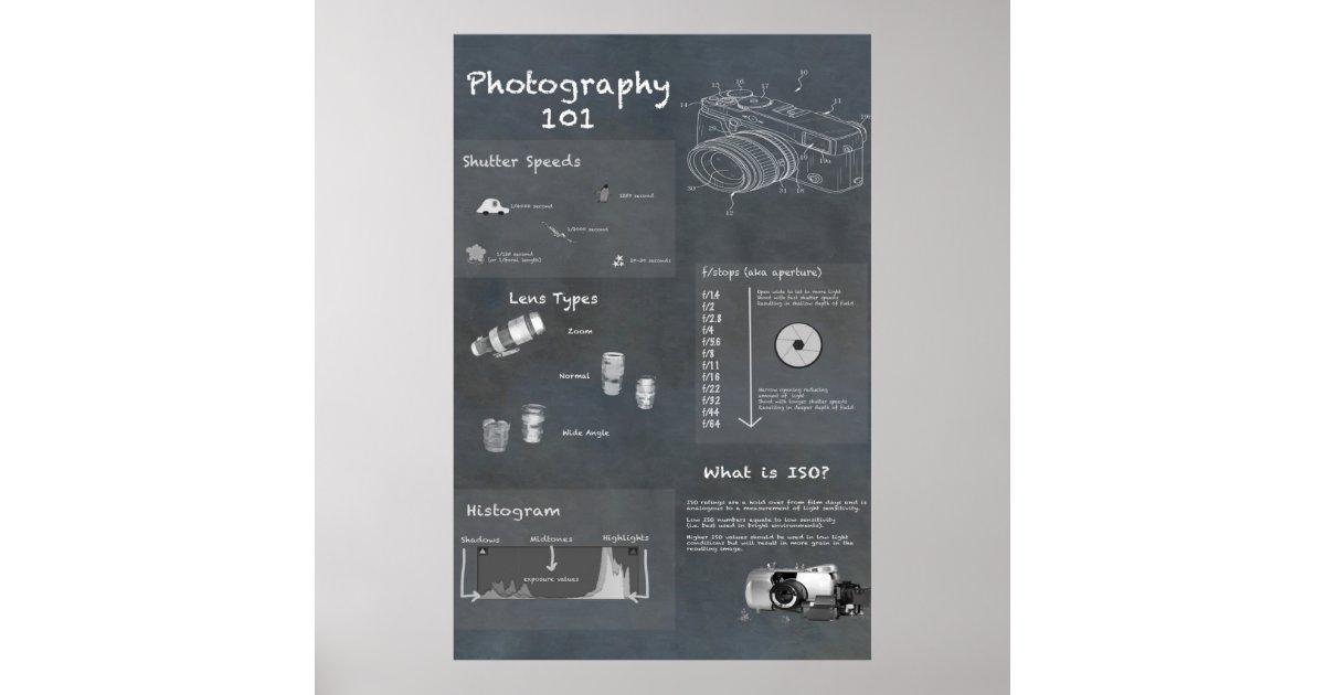 Photography Infographic Poster | Zazzle