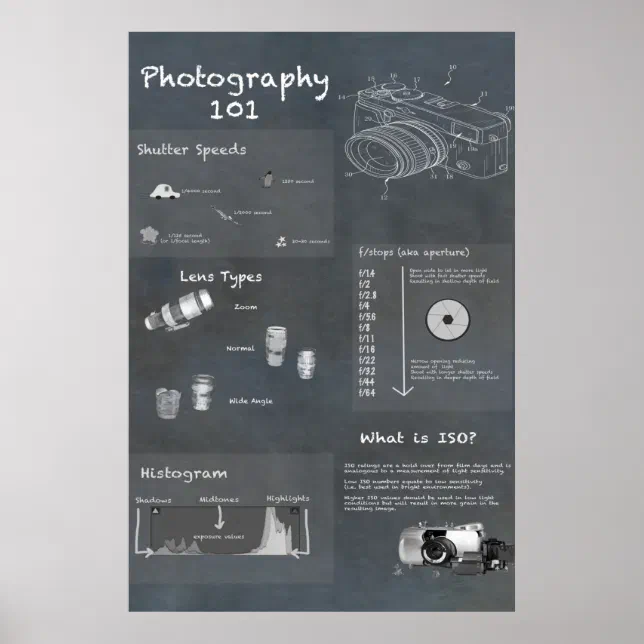 Photography Infographic Poster | Zazzle