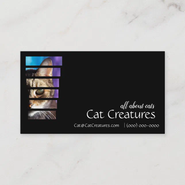 Photography Tabby Cat Business Card | Zazzle