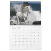 Photos of Beautiful Horses Calendar | Zazzle