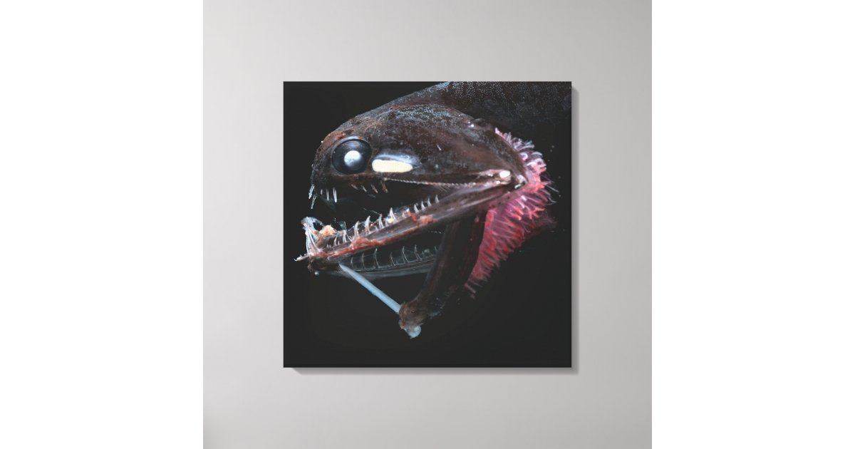 Photostomias Guernei Canvas Print | Zazzle