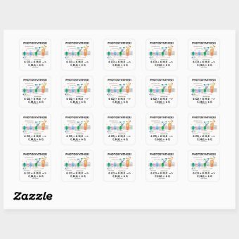 Photosynthesis (Chemical Formula) Square Sticker | Zazzle