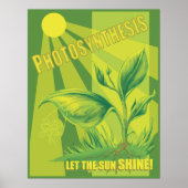 Photosynthesis Poster | Zazzle