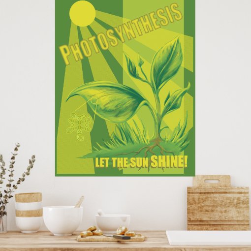 Photosynthesis Poster | Zazzle