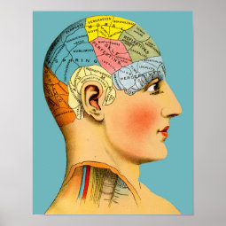 Phrenology Head Poster | Zazzle