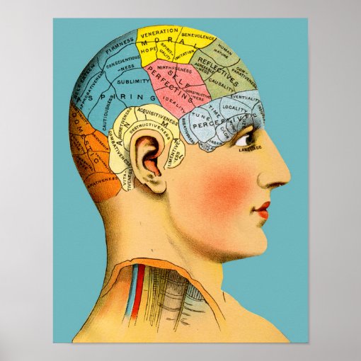 Phrenology Head Poster | Zazzle