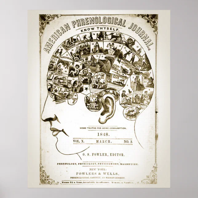 Phrenology Poster | Zazzle