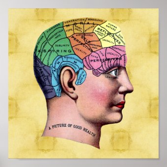Phrenology Poster | Zazzle