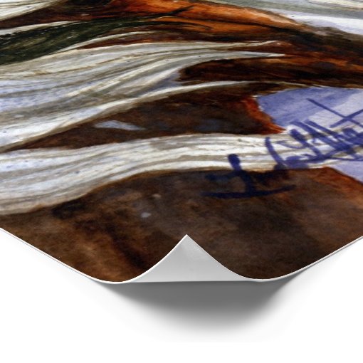 Picasso of Sand Wash Basin HMA Poster | Zazzle