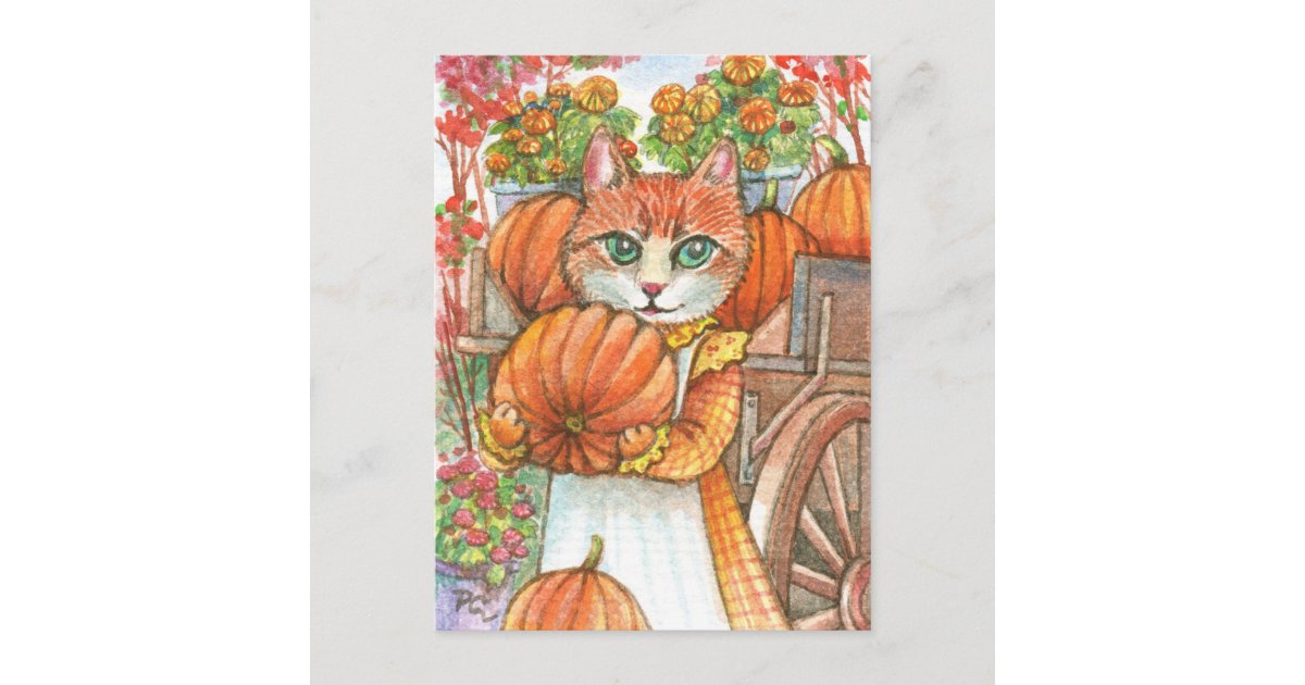 Picking Pumpkin Postcard | Zazzle