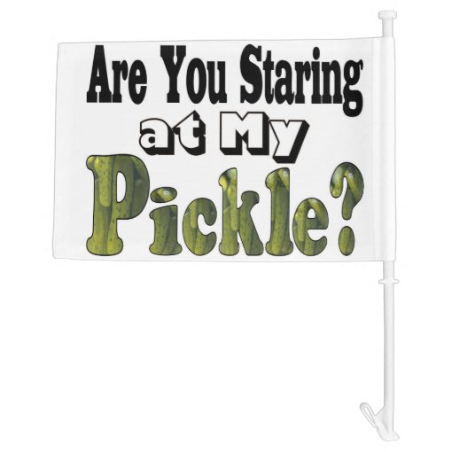 Pickle Staring Car Flag | Zazzle