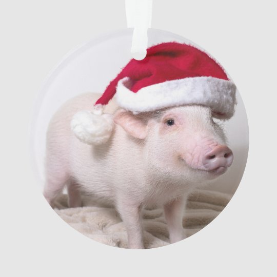 Pickle the Mini Pig Christmas Ornament | Zazzle.com