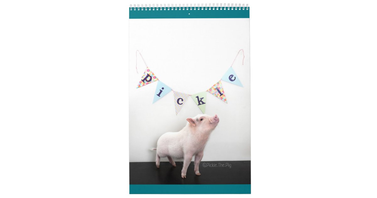 Pickle the Pig Calendar | Zazzle