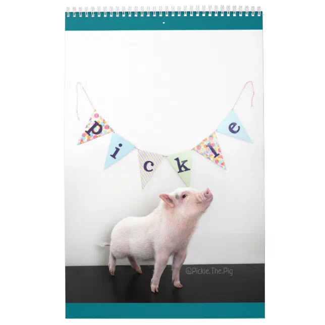 Pickle the Pig Calendar | Zazzle