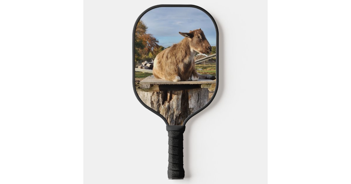 Pickleball Paddle "Goat" | Zazzle