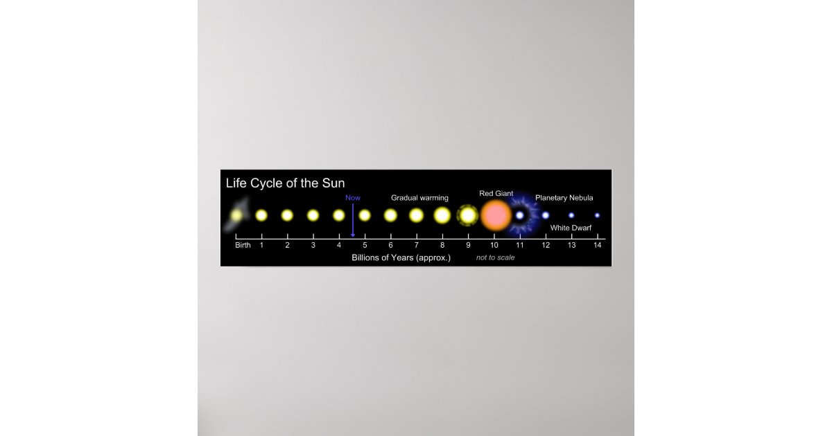 Picture Diagram of the Solar Life Cycle of the Sun Poster | Zazzle