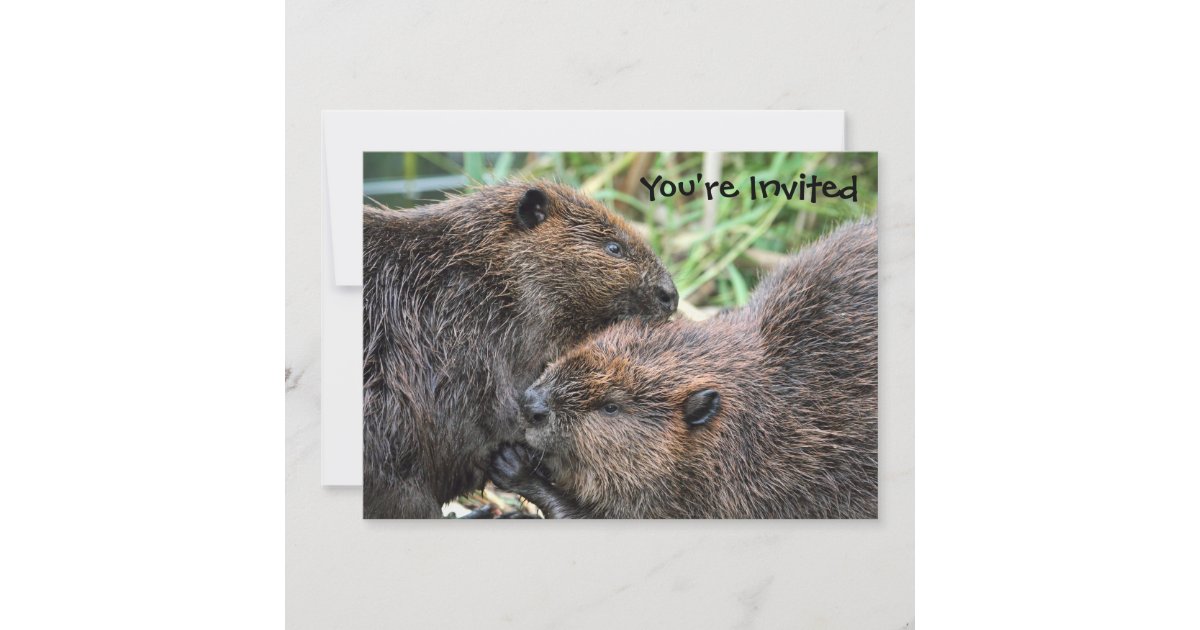 Picture of Beavers Grooming Invitation | Zazzle