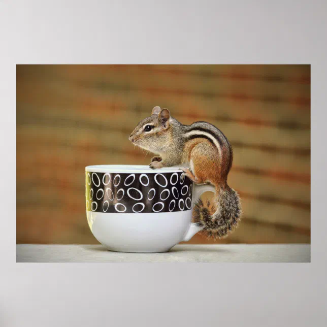 Picture of Chipmunk with Latte Coffee Cup Poster | Zazzle