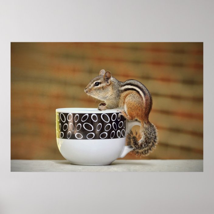 Picture of Chipmunk with Latte Coffee Cup Poster | Zazzle.com