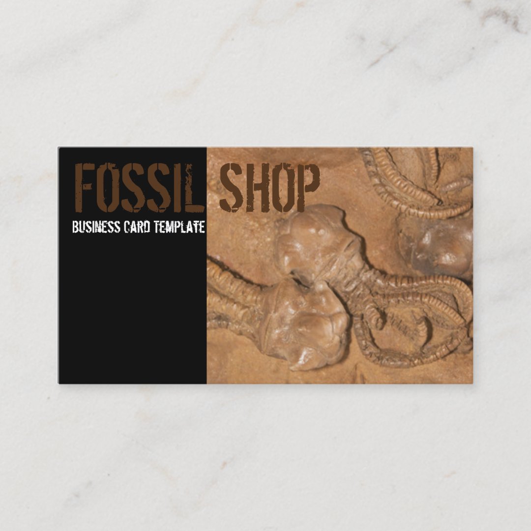 Picture of Sea Animal Fossils Business Card | Zazzle