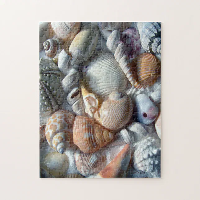 Picture of Seashells Puzzle | Zazzle