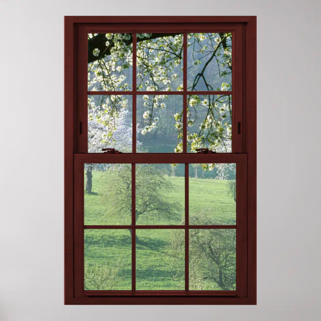 Picture Window Landscape - Cherry Blossoms. Poster | Zazzle