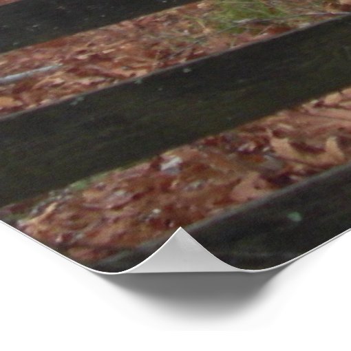 Pictures of barns poster | Zazzle