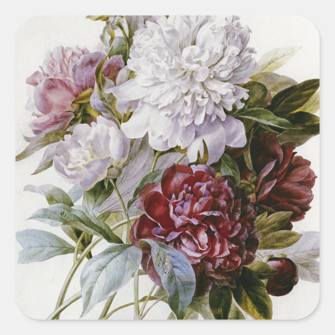 Pierre Joseph Redoute - A Bouquet Of Red Peonies Square Sticker | Zazzle
