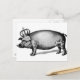 Pig Crown Royal Queen Big Piggy Postcard | Zazzle