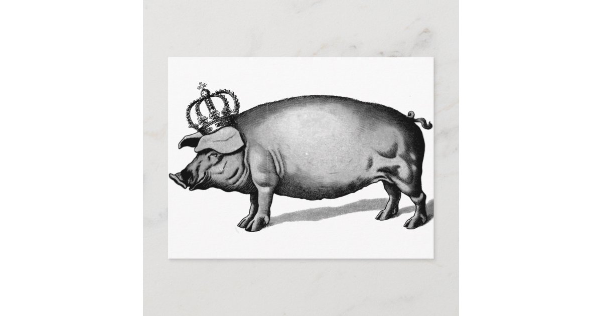 Pig Crown Royal Queen Big Piggy Postcard | Zazzle