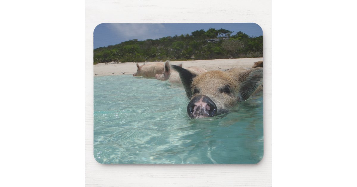 pig mouse pad | Zazzle