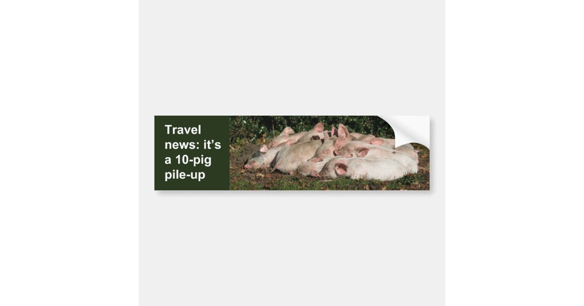 Pig pile-up bumper sticker | Zazzle