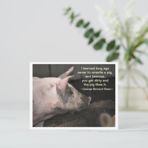 Pig Wisdom - wrestle Postcard | Zazzle