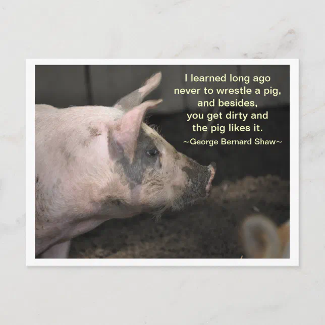 Pig Wisdom - wrestle Postcard | Zazzle