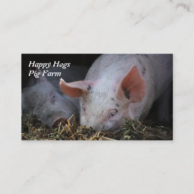 Pig with lopsided ears snuffling in straw business card | Zazzle