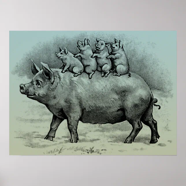 Pig with Piglets Poster | Zazzle