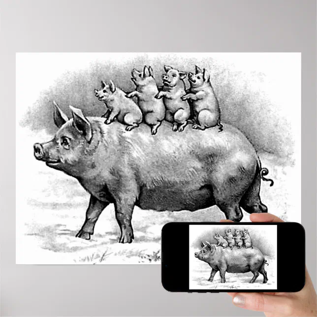 Pig with Piglets Poster | Zazzle