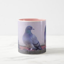 Pigeon Mug | Zazzle