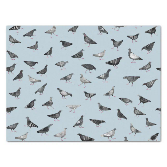 Pigeon Pattern Tissue Paper | Zazzle
